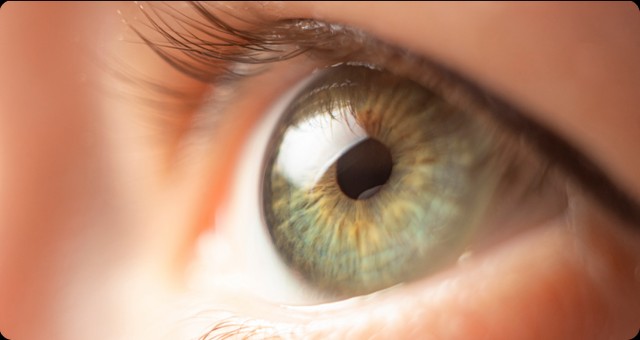 Corneal Surgery | Singapore Cornea Transplant | Eye & Cornea Surgeons